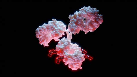 Adjuvant Trastuzumab Emtansine Plus Trastuzumab Improved Disease Free