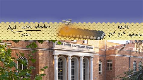 Light Matter Interaction At Nanoscale Aseva