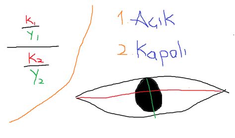 GitHub Arslan Blink Detection Blink Detection In Python With OpenCV And Dlib Also There Is