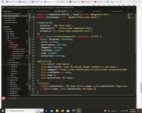 Débutez avec Angular Ajoutez des propriétés personnalisées par kamalbassour page