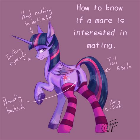 Rule 34 Alicorn Anus English Text Equine Female Feral Fizzyfox