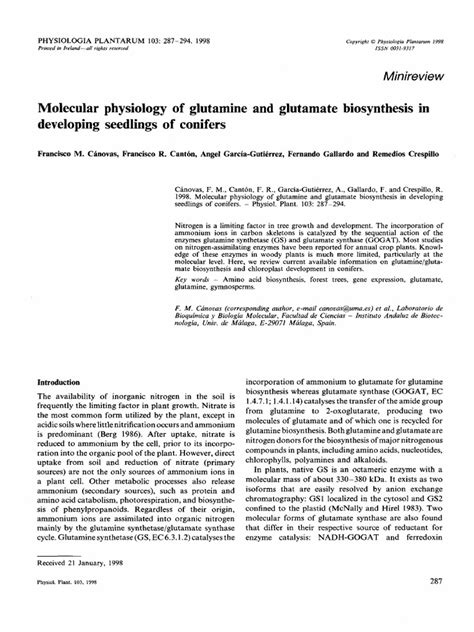 Molecular Physiology Of Glutamine And Glutamate Biosynthesis In Developing Conifer Seedlings Pdf