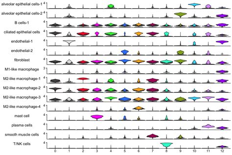 Neighborhoodcellular Niches Analysis With Spatial Transcriptome Data
