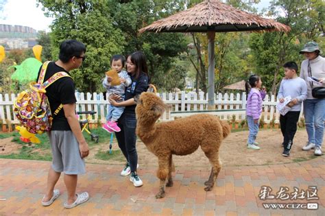 萌宠乐园图片效果图室内大山谷图库