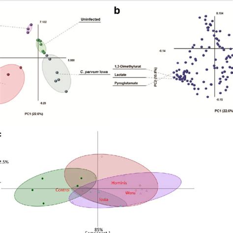 Pls Da And Loading Plot Of Colo 680n Infected Cells Nmr Results A