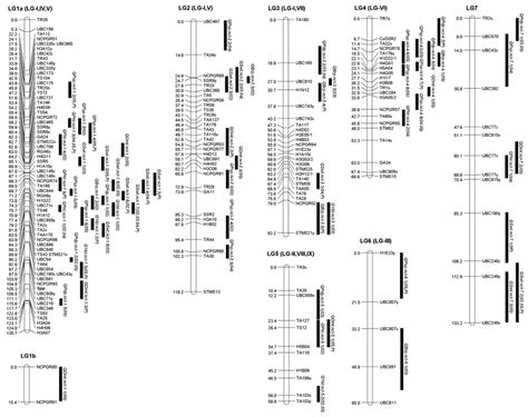Linkage Map Depicting Qtls For Seven Agronomic And Yield Traits Download Scientific Diagram
