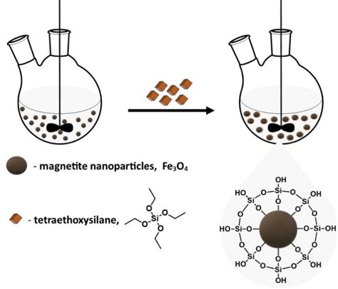Functionalization Of The Surface Of Mnps Using Tetraethoxysilane Teos