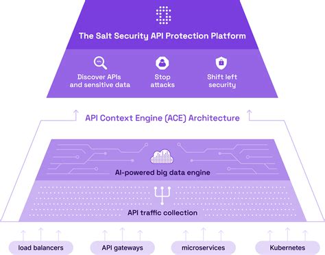 Why Salt Salt Security Api Security Solution