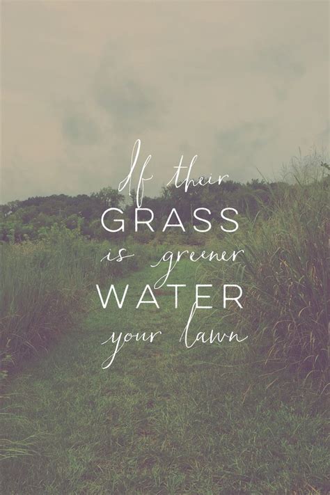 Dont Gawk Plant Cool Words Amazing Quotes Words