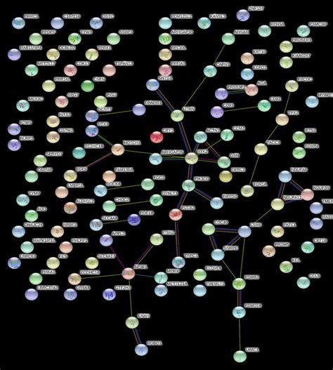 Weighted Correlation Network Analysis Of Multiple Sclerosis Identifying Key Genes Involved In