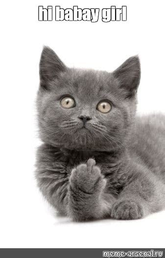 Meme Hi Babay Girl All Templates Meme