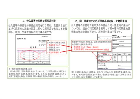 青果物輸出促進に向けて、epaに基づく「特定原産地証明書」の発給手続きが簡素化 農業とitの未来メディア「smart Agri（スマートアグリ）」