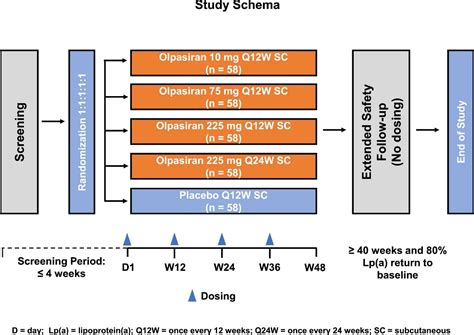 Cas 2225856 03 9 Olpasiran Boc Sciences