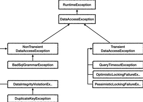 Spring Db 스프링 예외 추상화