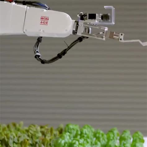 Samvel Sargsyan Posted On Linkedin