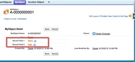 Administration Hiding Custom Object Records From Administrators