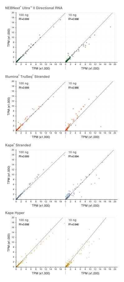 Nebnext® Ultra™ Ii Directional Rna Library Prep Increasing Library Complexity Ffpe Neb