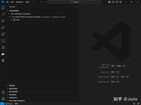 esp32 rust环境搭建：docker vs code 知乎