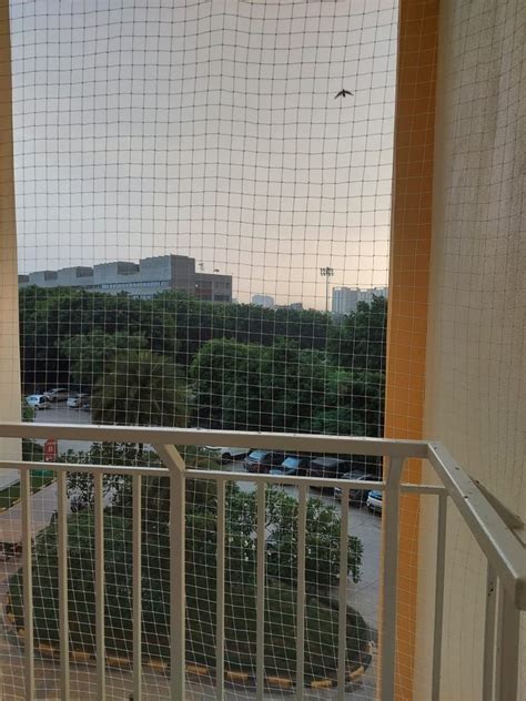 Polyester Residential Bird Netting 10x6 Feet At ₹ 20 Sq Ft In New