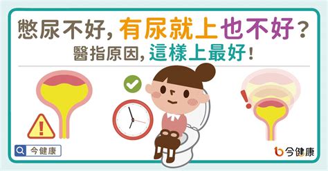 憋尿不好，有尿就上也不好？醫指原因，這樣上最好！