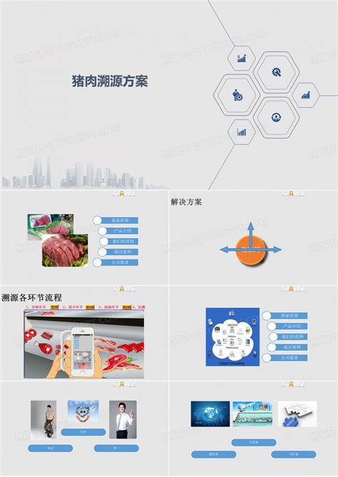 猪肉溯源方案PPT模板下载 编号qvxebrgw 熊猫办公