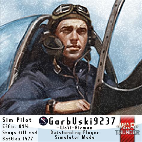 New Profile Picture R Warthundersim