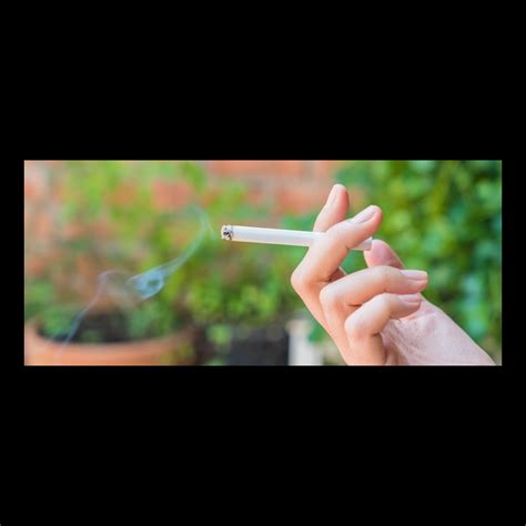 Sigara Tespit Sistemi Object Detection Model By Sigaratespitsistemi