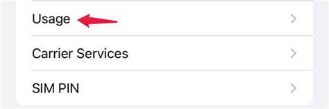 How To Check Data Usage On Iphone Mashtips