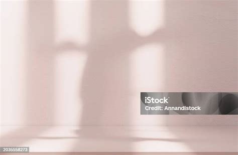 베이지 색 콘크리트 질감 벽 배경 빛 Leavs 그림자 햇빛과 빈 스튜디오 시멘트 방 복숭아 색 페인트에 반영 봄 여름 제품 디자인 프리젠 테이션 배경 배경 주제에 대한