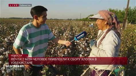 Почти 2 млн человек привлекли к сбору хлопка в Узбекистане Youtube