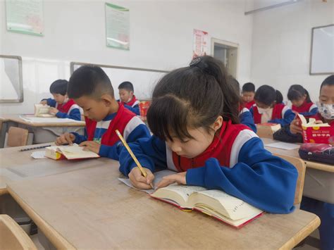 东营经济技术开发区丽景小学举行查字典比赛活动音序工具书自学