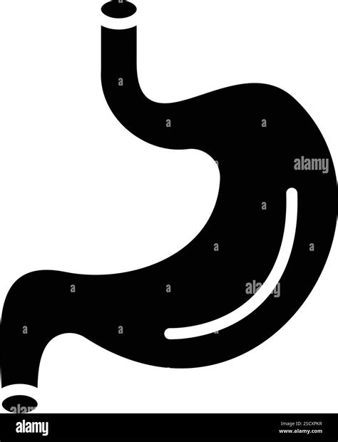 Stomach Vector Icon Design Illustration Stock Vector Image And Art Alamy