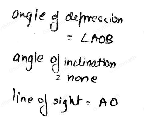 Solved Activity 2 Identify Me In The Following Figures Identify The