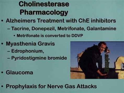 Ppt The Biology And Physiology Of Cholinesterase Running A Cholinesterase Program Powerpoint