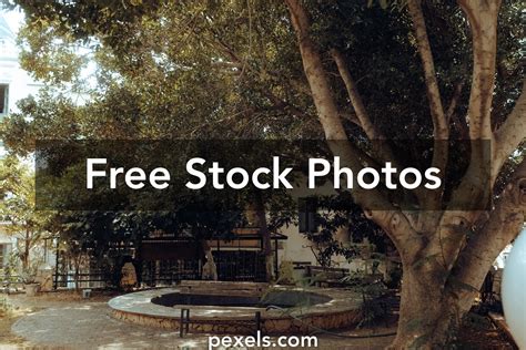 Architechture Organic Photos Download The Best Free Architechture