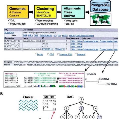 Design Overview Of Gcd A Outline Of Data Flow And Graphical