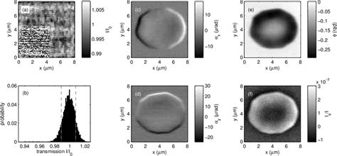 Figure 1 From Hard X Ray Scanning Transmission Microscopy With A 2d