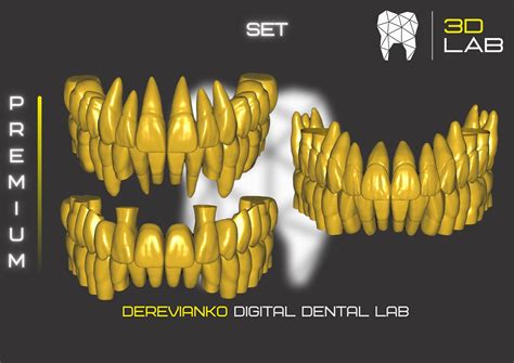 I Will Do Best Exocad Teeth Set Libraries Freelance Graphic Design Dental Art Graphic Design