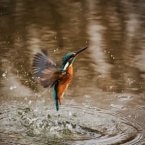 Super Resolution Replicate