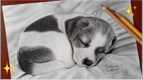 Dibujos A Lapiz Faciles De Perros