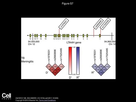 Volume Issue Pages February Ppt Download