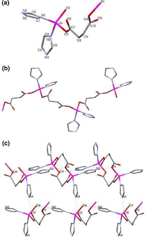 A Molecular Structure Of 2 Viewed Down C B Zinc Succinate Chain Along