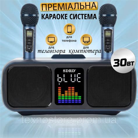 Музыкальная портативная Bluetooth колонка с двумя микрофонами для караоке с блютузом и сенсорной