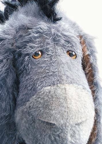 Fan Casting Steven Wright As Eeyore In Winnie The Pooh 2024 Live Action On Mycast