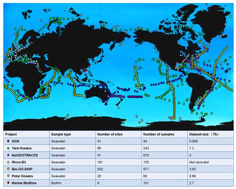 The Landscape Of Global Ocean Microbiome From Bacterioplankton To Biofilms