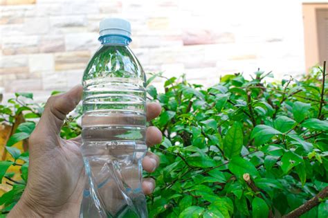 녹색 잔디 배경에 플라스틱 만든 병 물 들고 벽지를 사용 하 여 패키지 또는 이미지 및 복사 공간을 새로 고침 제품 0명에 대한 스톡 사진 및 기타 이미지 Istock