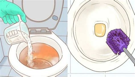 Πουρί στη λεκάνη της τουαλέτας Πέντε εύκολοι τρόποι για να το εξαφανίσετε χωρίς τρίψιμο