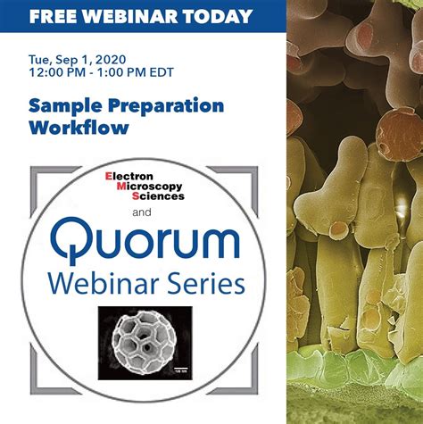 Emma Hookham Posted On Linkedin