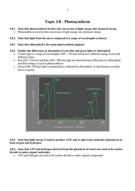 38 Photosynthesis Notes Pdf