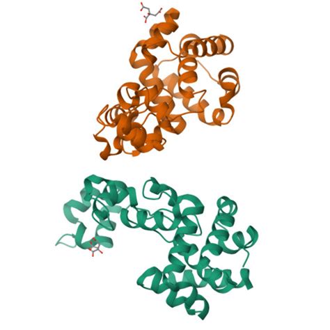 Rcsb Pdb 9eoi Crystal Structure Of The Gh19 Endolysin From